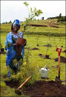 Planting the Trees of Kenya: The Story of Wangari Maathai by Claire A ...
