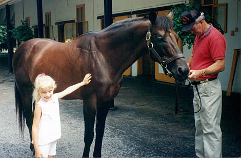 Gold Rush: How Mr. Prospector Became Racing's Billion Dollar Sire by ...