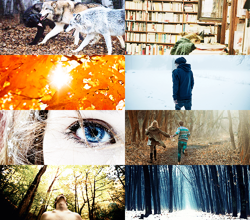 Huiver (The Wolves of Mercy Falls, #1) by Maggie Stiefvater — Reviews ...