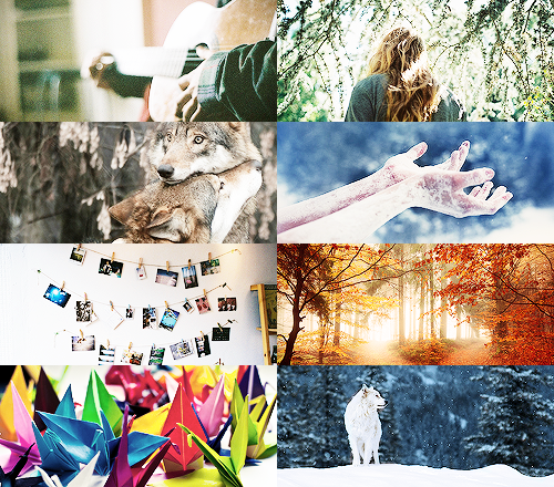 Huiver (The Wolves of Mercy Falls, #1) by Maggie Stiefvater — Reviews ...
