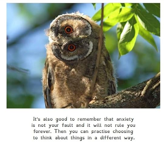 All Birds Have Anxiety: An affirming introduction to anxiety by Kathy ...