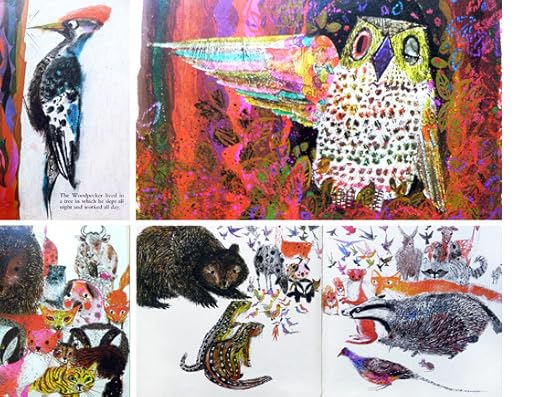 The Owl and the Woodpecker by Brian Wildsmith | Goodreads