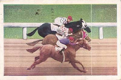 At the Wire: Horse Racing's Greatest Moments by Edward L. Bowen | Goodreads