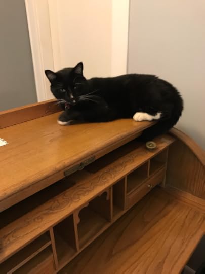 Paulita Kincer's Blog