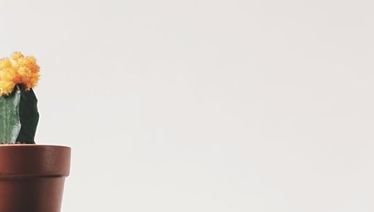 Joshua Becker's Blog