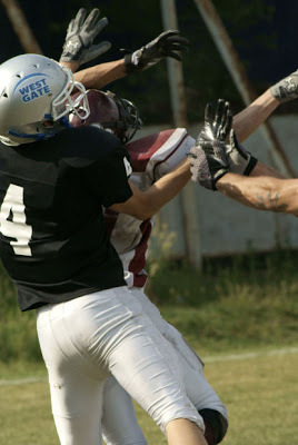 Susan Flett Swiderski's Blog