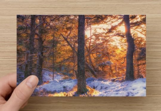 Gabriel Hemery's Blog: Gabriel Hemery