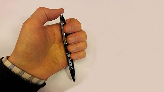 The Stranger (The Labyrinths of Echo, #1) by Max Frei