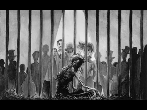 A Hunger Artist by Franz Kafka