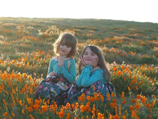 Aimee Major-Steinberger's Blog