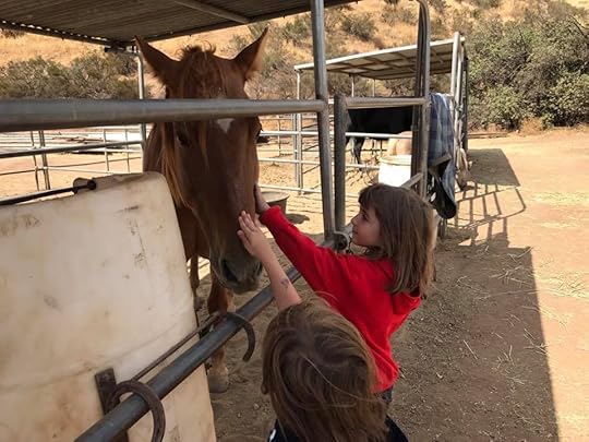 Aimee Major-Steinberger's Blog