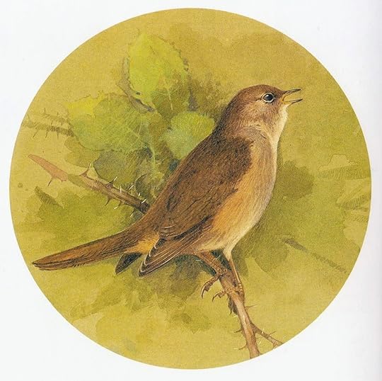 The Darkling Thrush and other Poems by Thomas Hardy by Thomas (1840 ...