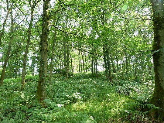 Elmet by Fiona Mozley | Goodreads