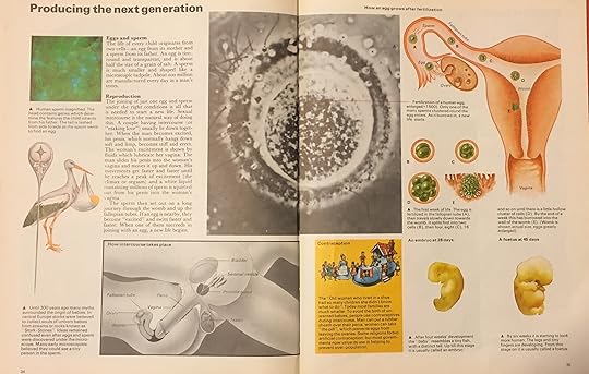 The Human Body (Visual Books) by Janet Noel | Goodreads