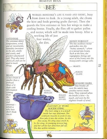 The Beginner's Guide To Animal Autopsy by Steve Parker | Goodreads