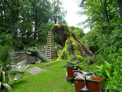 Susan Flett Swiderski's Blog