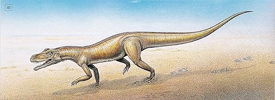 Paleontological Museum of the University of Zürich: Exhibition Guide by ...