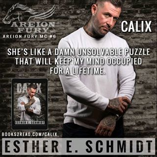 Calix (Areion Fury MC #6) by Esther E. Schmidt | Goodreads