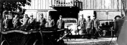 In the Land of Armadillos: Stories by Helen Maryles Shankman | Goodreads