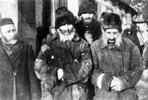 In the Land of Armadillos: Stories by Helen Maryles Shankman | Goodreads