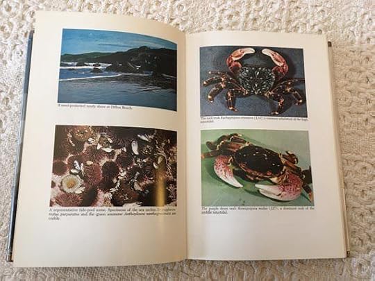 Between Pacific Tides by Edward F. Ricketts