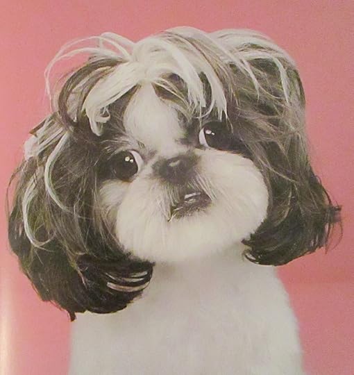 Puppy Styled: Japanese Dog Grooming: Before & After by Grace Chon ...