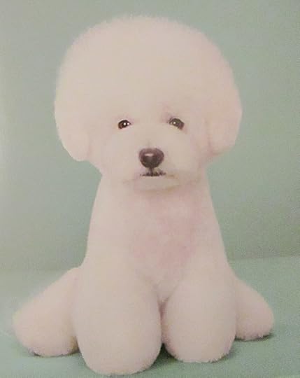 Puppy Styled: Japanese Dog Grooming: Before & After by Grace Chon ...