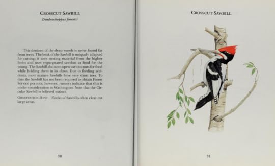 Another Field Guide to Little Known and Seldom Seen Birds of North ...