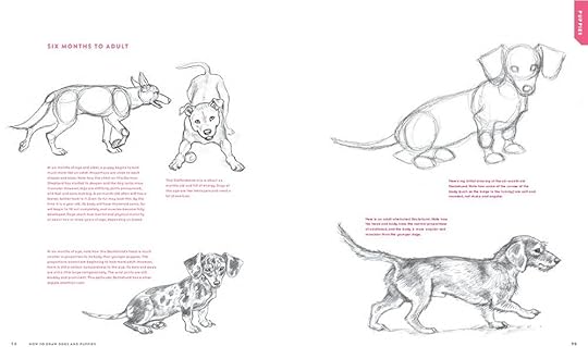 How to Draw Dogs and Puppies: A Complete Guide for Beginners by J.C ...