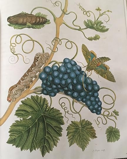 Voyages of Discovery: A Visual Celebration of Ten of the Greatest ...