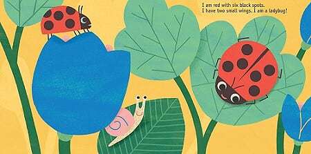 Ladybug (Tales from Nature) by Magali Attiogbé | Goodreads