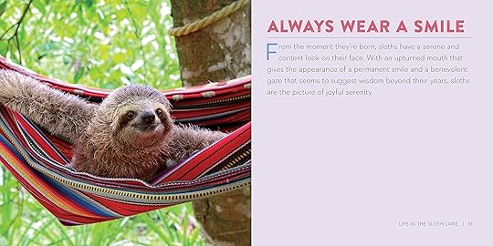 Life in the Sloth Lane: Slow Down and Smell the Hibiscus by Lucy Cooke ...