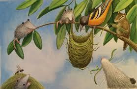 Possum and the Summer Storm by Anne Hunter | Goodreads