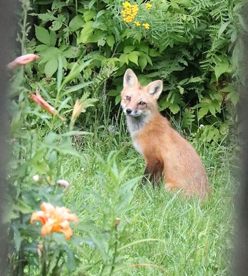 Ellen Wade Beals (Author of Solace in So Many Words)