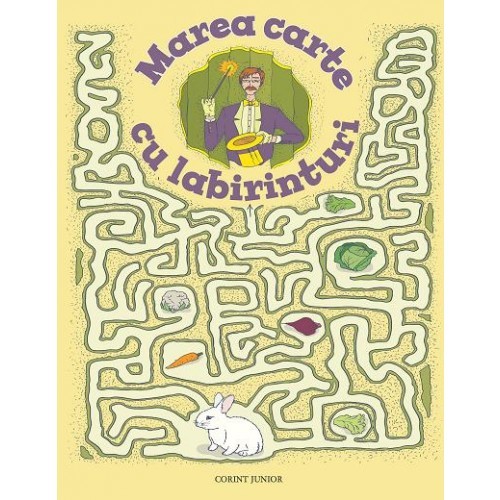 Marea carte cu labirinturi by Daniel Eberhat | Goodreads