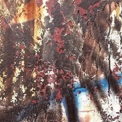 Jeremy P. Bushnell (Author of The Weirdness)