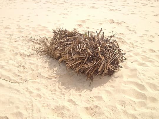 Grug at the Beach by Ted Prior | Goodreads