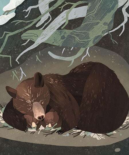 Winter Sleep: A Hibernation Story by Sean Taylor | Goodreads