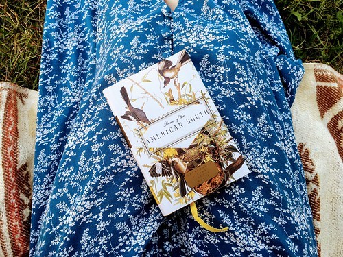 Poems of the American South by Paula R. Backscheider | Goodreads