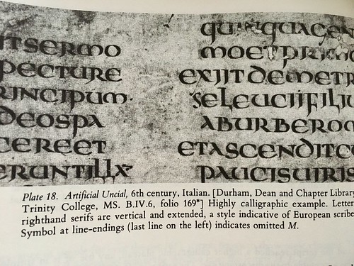 Medieval Calligraphy: Its History and Technique by Marc Drogin