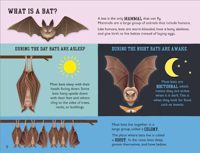 The Bat Book (Conservation for Kids) by Charlotte Milner | Goodreads