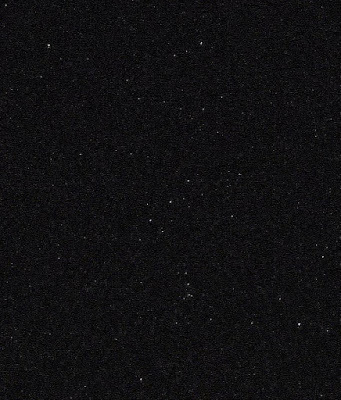 Susan Flett Swiderski's Blog