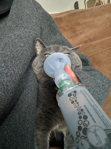 Don't Panic!: How to Manage Your Finances—and Financial Anxieties ...