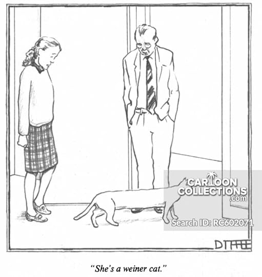 The Best of the Rejection Collection: 293 Cartoons That Were Too Dumb ...