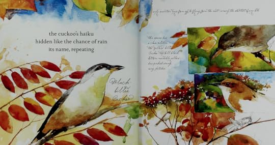 The Cuckoo's Haiku: and Other Birding Poems by Michael J. Rosen | Goodreads