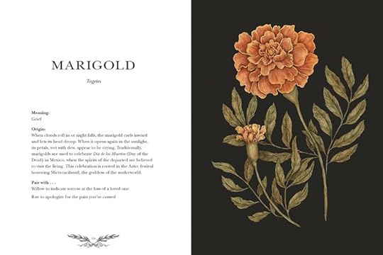 Floriography: An Illustrated Guide to the Victorian Language of Flowers ...