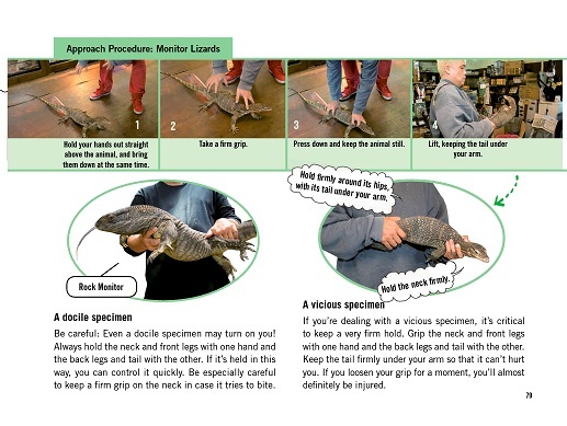 How to Hold Animals by Toshimitsu Matsuhashi | Goodreads