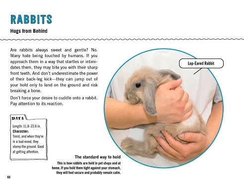 How to Hold Animals by Toshimitsu Matsuhashi | Goodreads