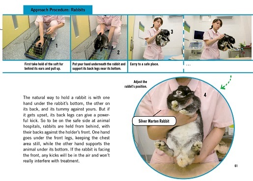 How to Hold Animals by Toshimitsu Matsuhashi | Goodreads