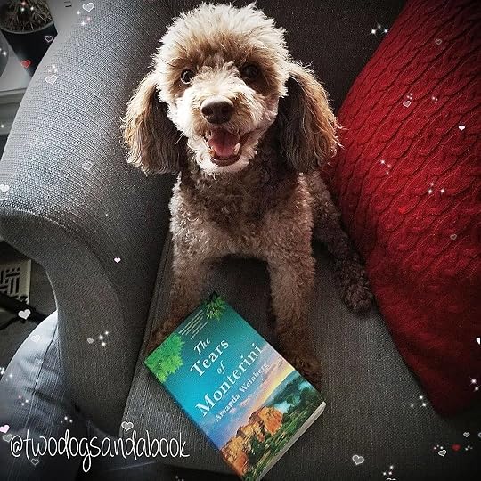 The Tears of Monterini by Amanda Weinberg | Goodreads